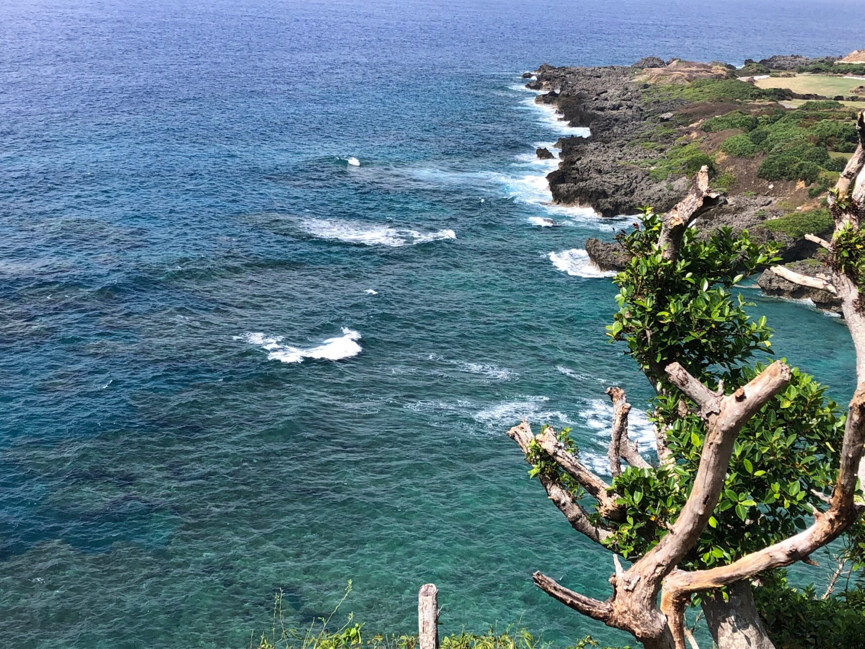 Places where you can see the beautiful views of Yoron Island. Collab#4 ...